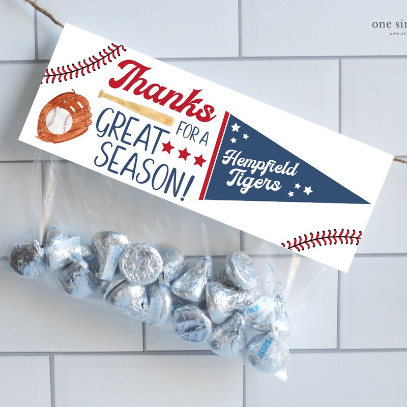 Baseball Team Gift - 60+ Gift Ideas for 2025