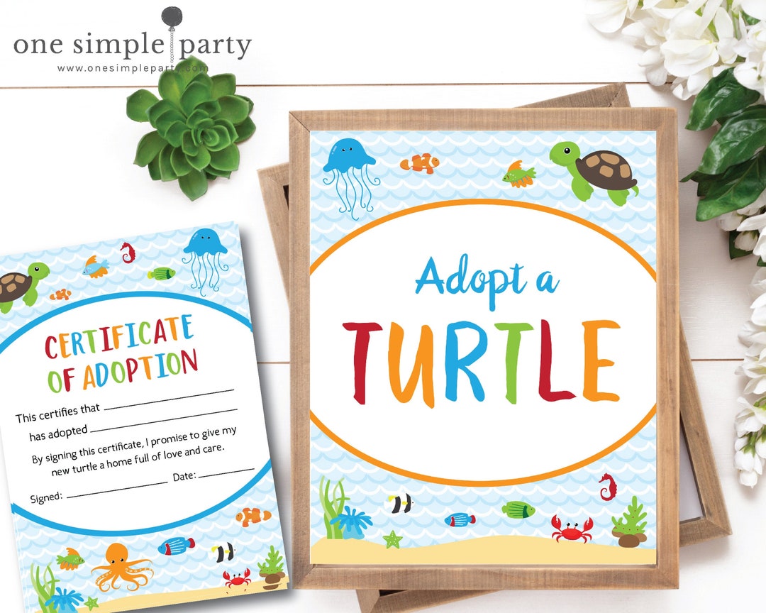 Boy Adopt a Turtle - Boy Ocean Birthday - Beach Birthday - Adopt an ...