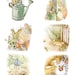 Complete Beatrix Potter's the Tale of PETER RABBIT Illustrations (8cm ...