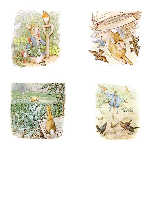 Complete Beatrix Potter's the Tale of PETER RABBIT Illustrations (8cm ...