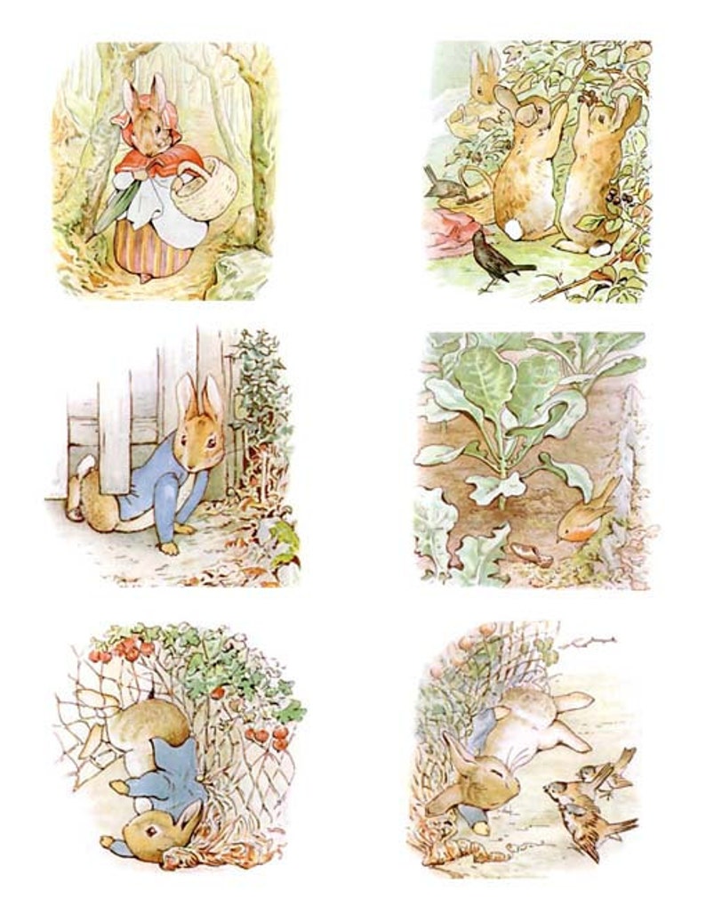 Complete Beatrix Potter's the Tale of PETER RABBIT Illustrations (8cm ...