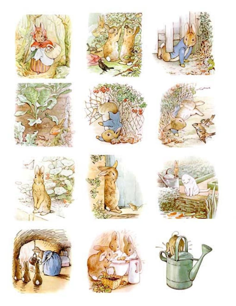 Complete Beatrix Potter's the Tale of PETER RABBIT Illustrations ...