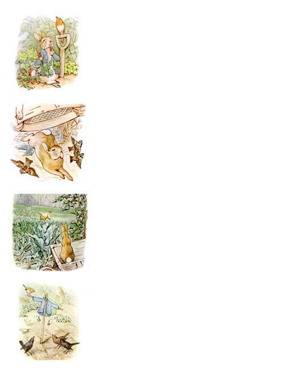 Complete Beatrix Potter's the Tale of PETER RABBIT Illustrations ...