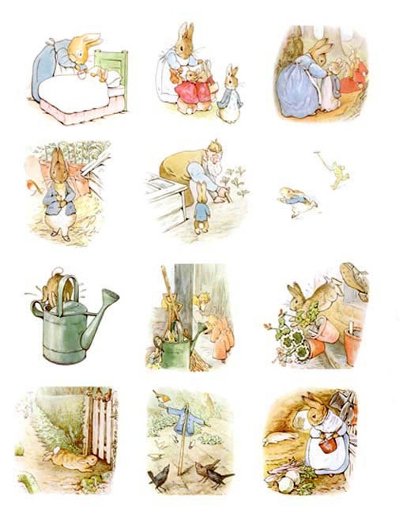 Complete Beatrix Potter's the Tale of PETER RABBIT Illustrations ...