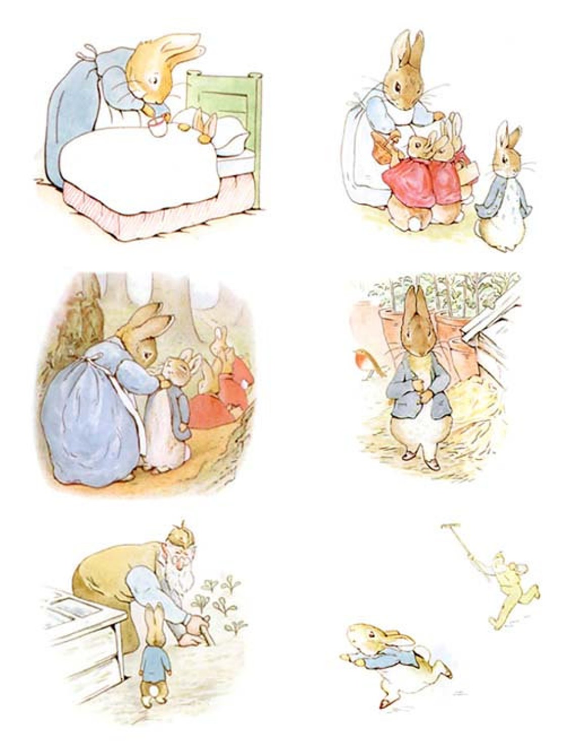 Complete Beatrix Potter's the Tale of PETER RABBIT Illustrations (8cm ...