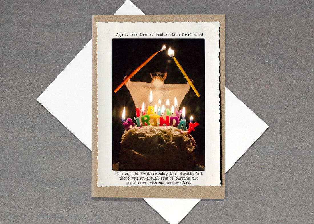 Flying Squirrel Bday Greeting Card • Funny Birthday Card • Dark Humor ...