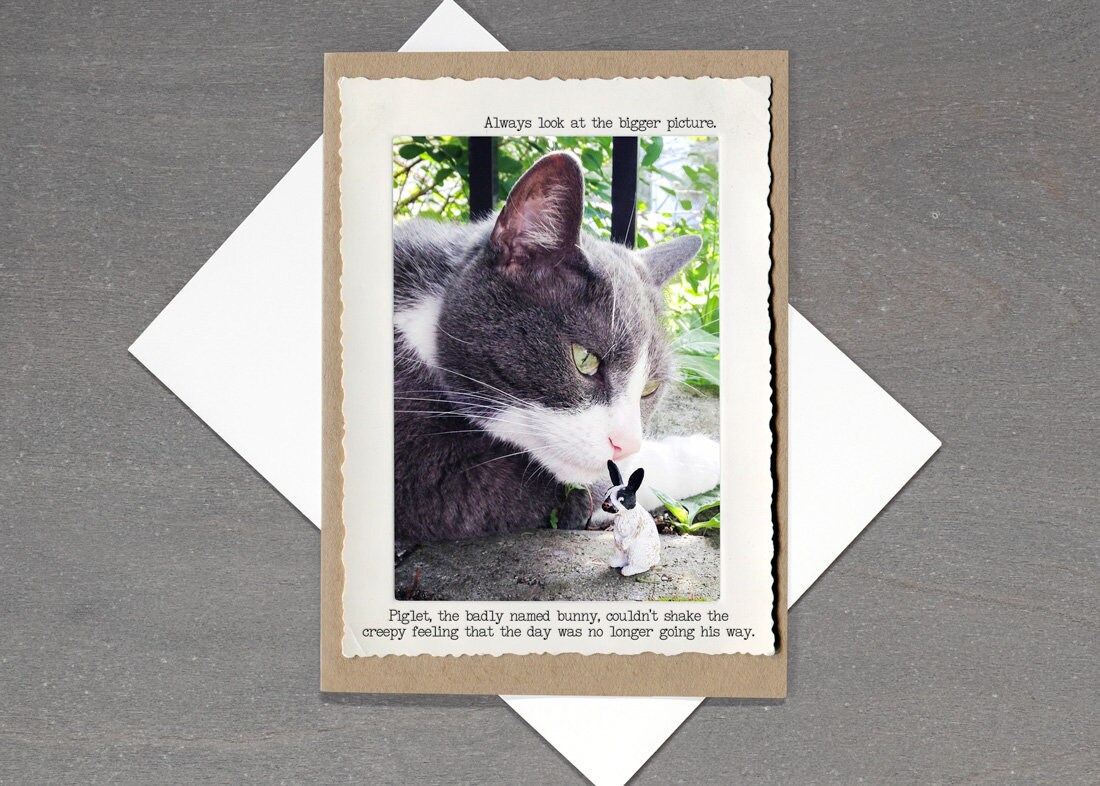 Funny Cat Card Motivational Card All Occasion Blank Card Bunny Card ...