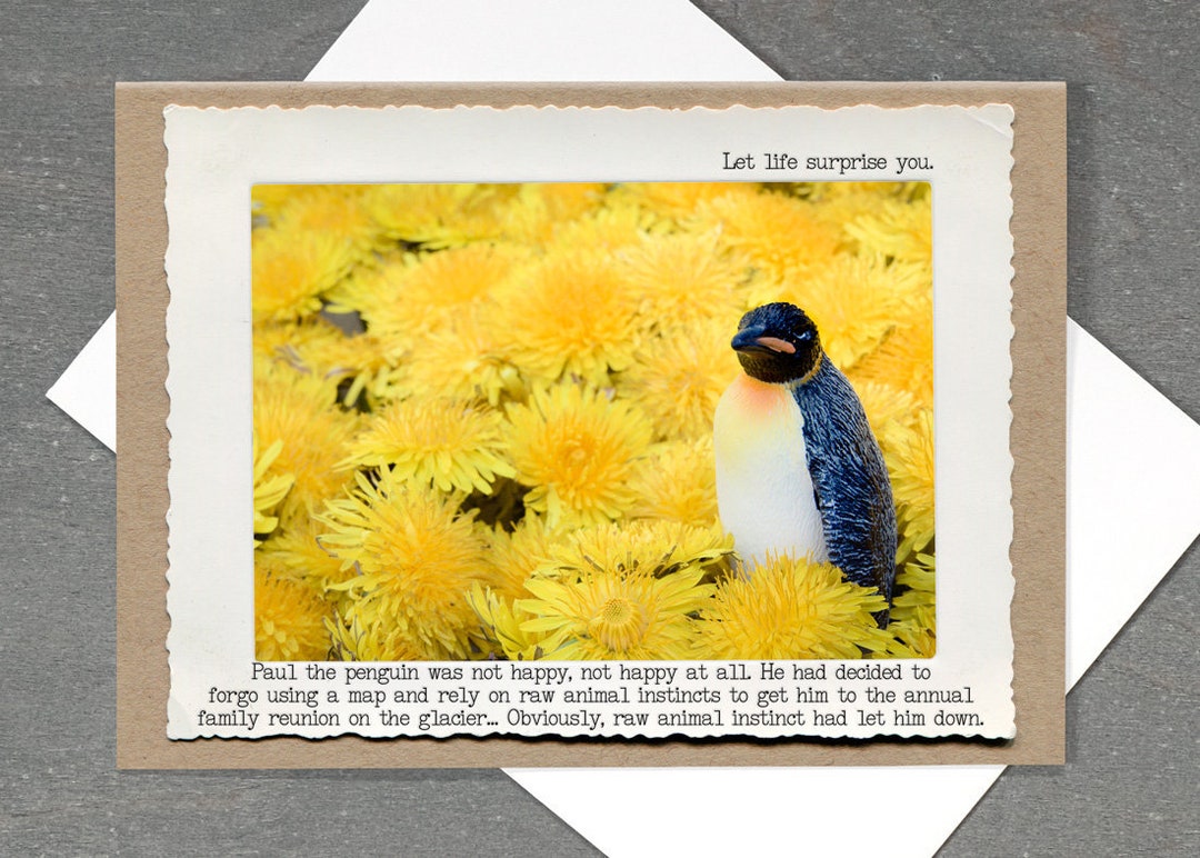 Penguin Dandelion Greeting Card • Funny Greeting Card • Funny Photo ...