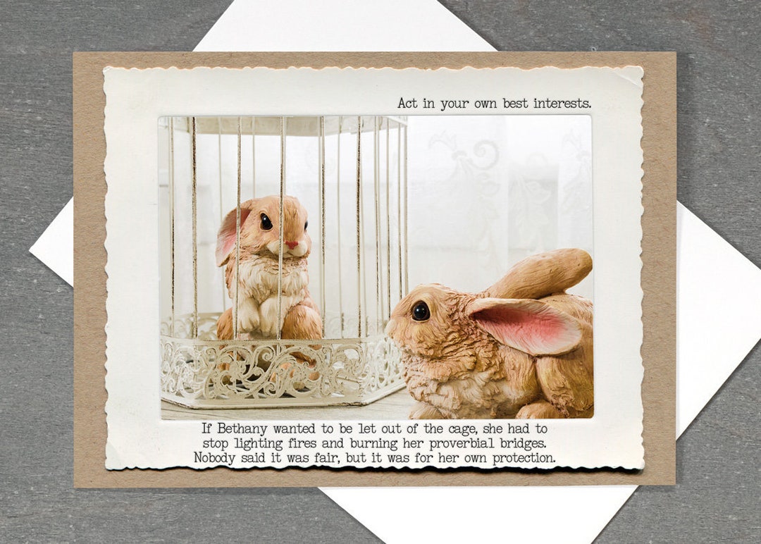 Funny Bunny Card dark Humor Sarcastic Greeting Card All Occasion Rabbit ...