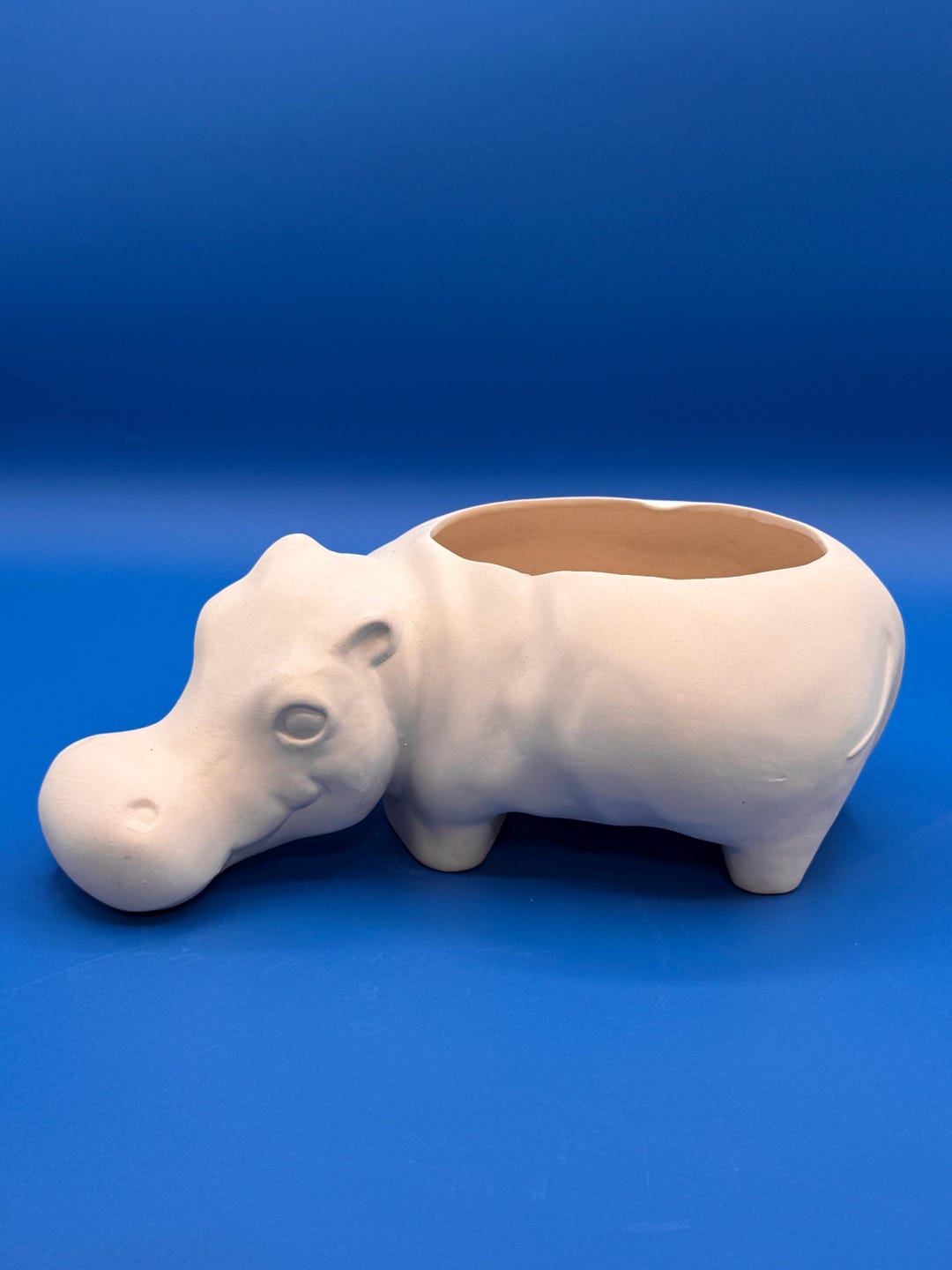 DIY Paint Your Own Hippopotamus Hippo Planter Container Bisque 9”x4” - Etsy