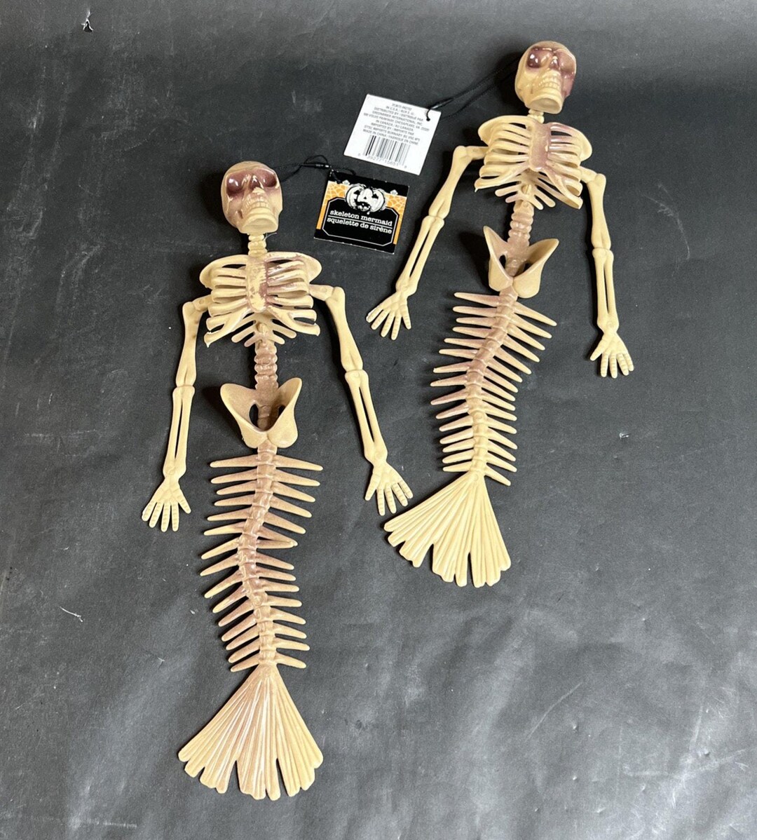 Mermaid Skeletons (set of 2) – Real Anatomical Proof Halloween Cryptid ...