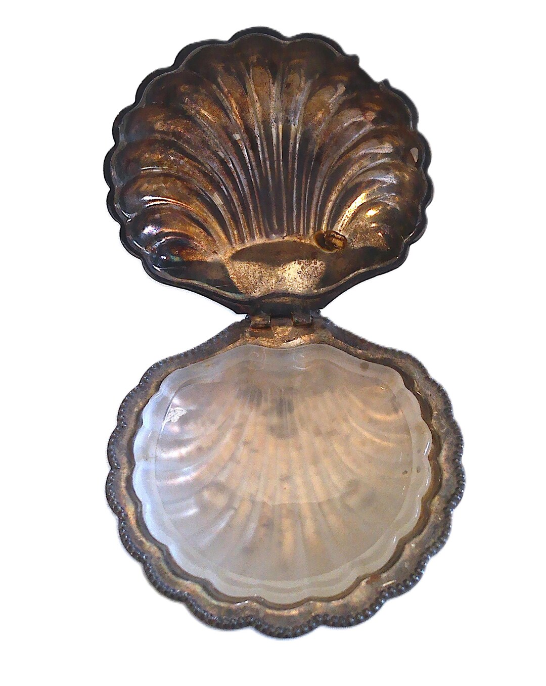 Vintage Caviar Clam Shell Dish Footed, Silver Plated With Frosted Glass ...