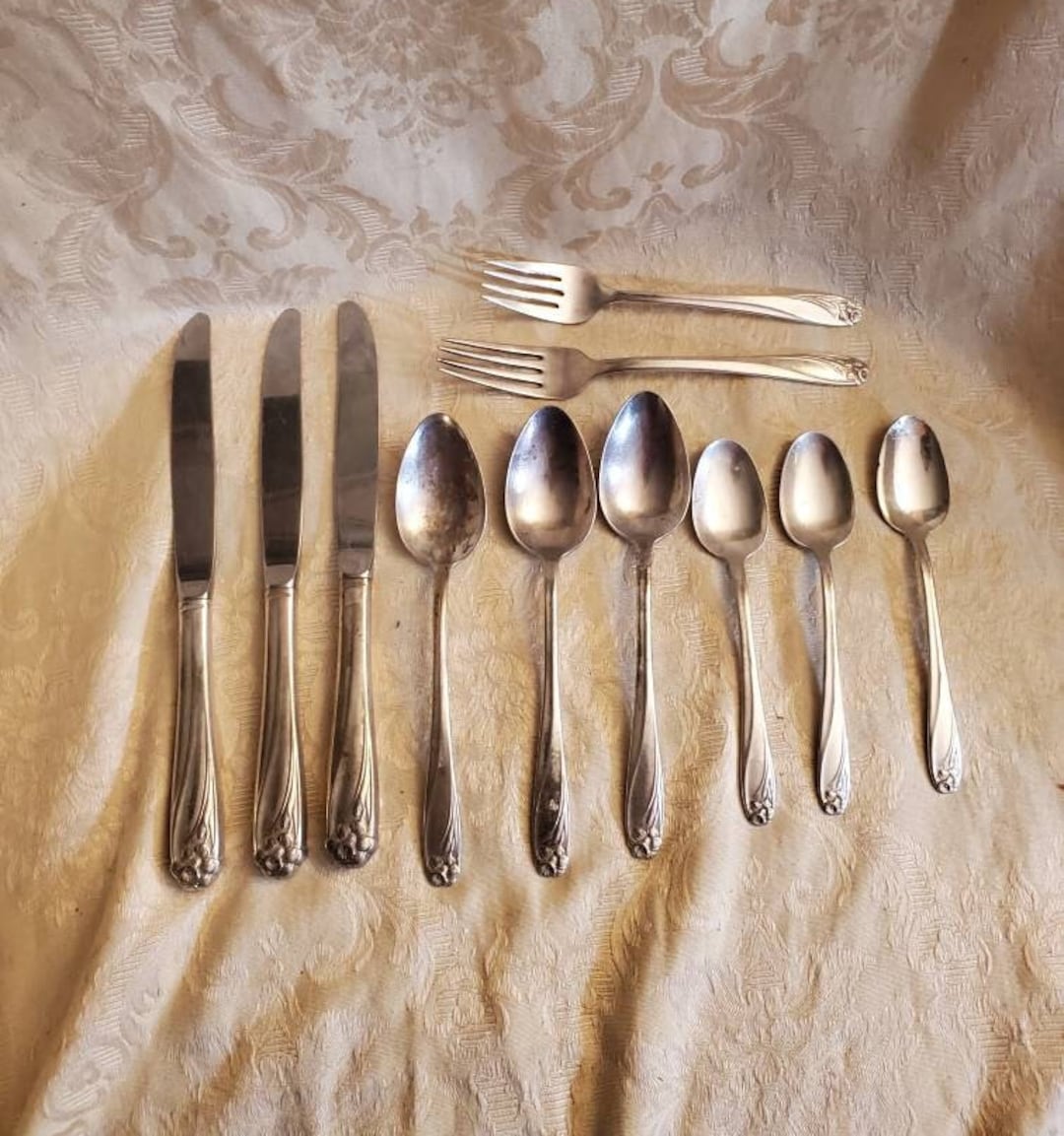 International Silver, Daffodil Pattern, Silver Plated Aged Flatware ...
