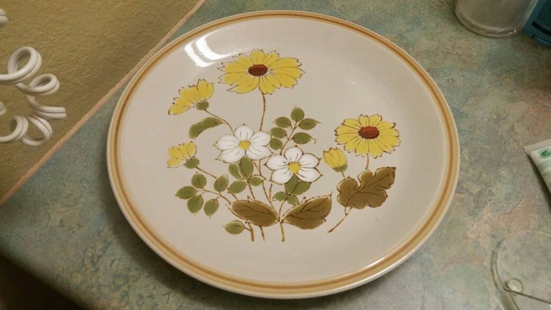 Montrose Genuine Stoneware 12 Inch Serving Platter or Large Plate ...