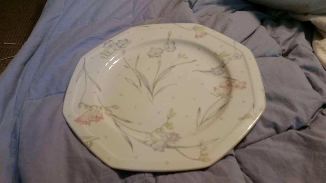 Christopher Stuart Fine China, 10.50 Inch Dinner Serving Plate, Fresh ...