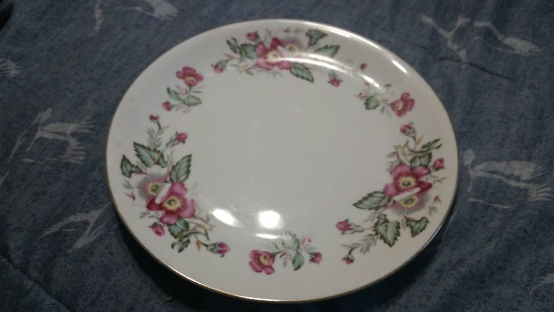 Hira Fine China 10 Inch Dinner/chop Plate Prairie Rose With Pink and ...
