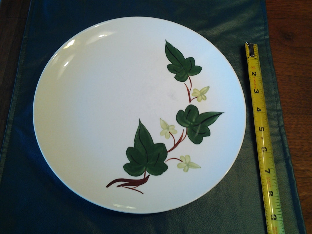 On Sale Collectible China Blue Ridge Pottery 9 Inch Ivy Dinner Plate - Etsy