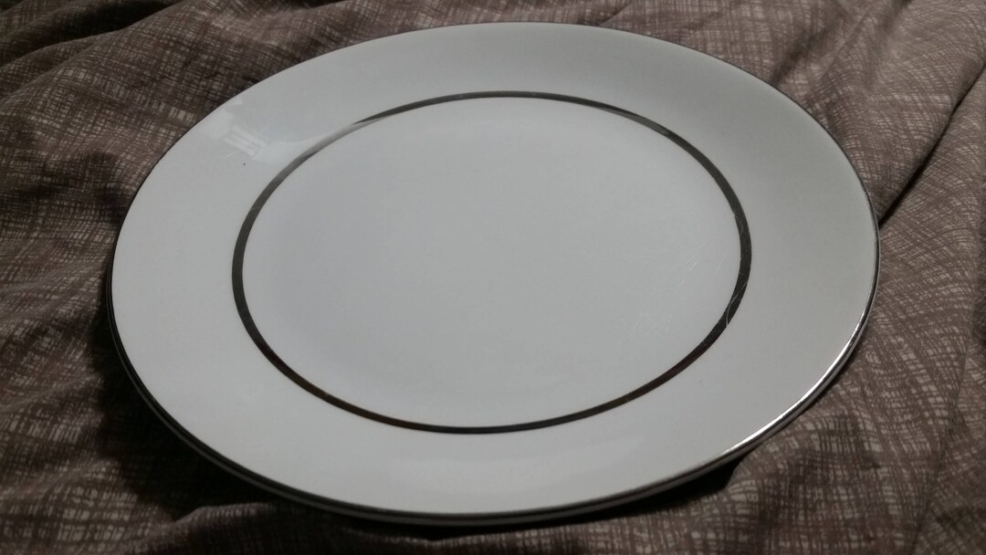 Salem China International Ironstone Silver Elegance 10 Inch Dinner or ...