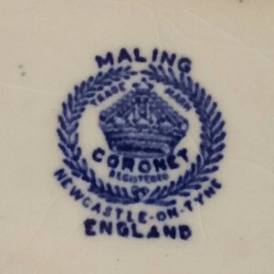 Rare Find Newcastle on Tyne Haling Coronet 11 Inch Divided Blue Willow ...