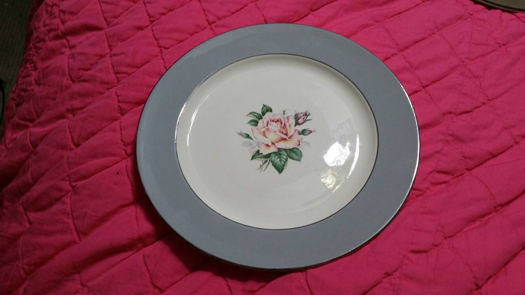 Gray Dawn Homer Laughlin Lifetime China Company 10 Inch Dinner/chop ...