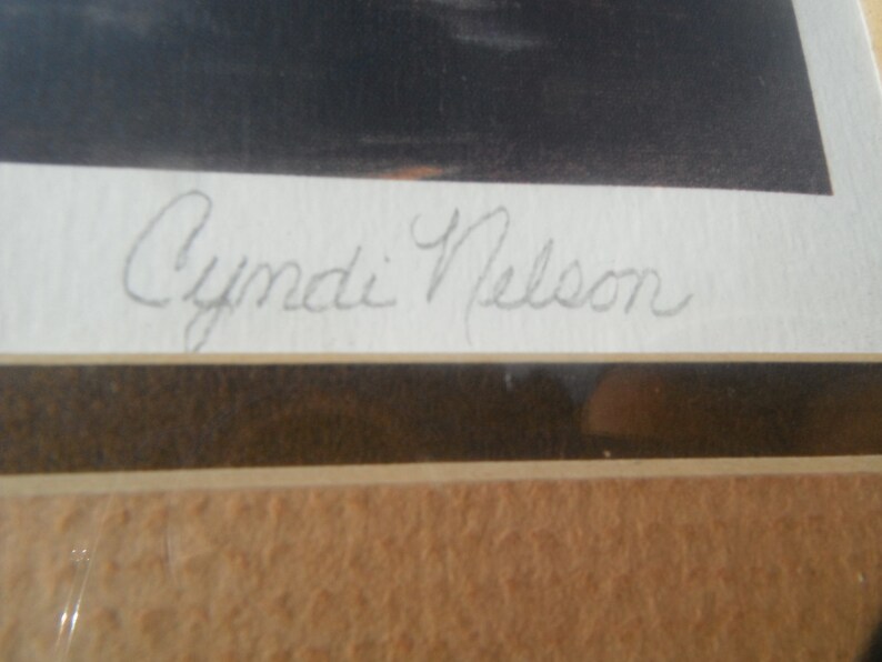 Vintage Signed Cyndi Nelson Numbered 57 of 480 "peaceful Pintails ...