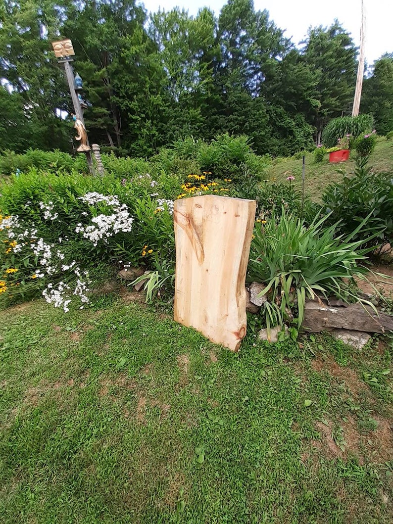 Massive Thick Wide Pine Live Edge Slab DIY Table Project | Etsy