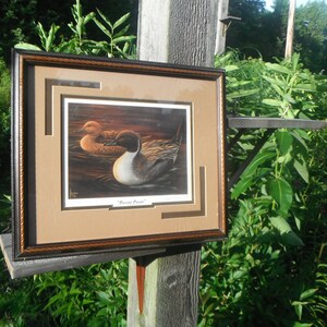 Vintage Signed Cyndi Nelson Numbered 57 of 480 "peaceful Pintails ...