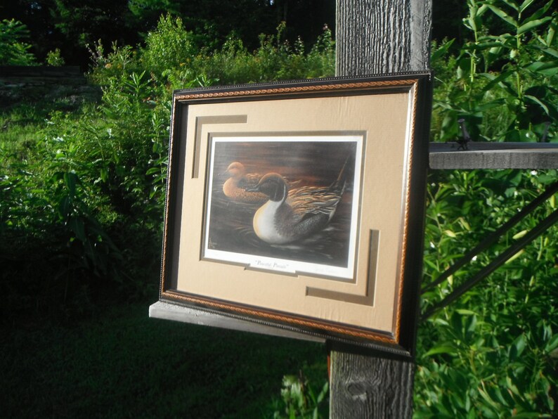 Vintage Signed Cyndi Nelson Numbered 57 of 480 "peaceful Pintails ...
