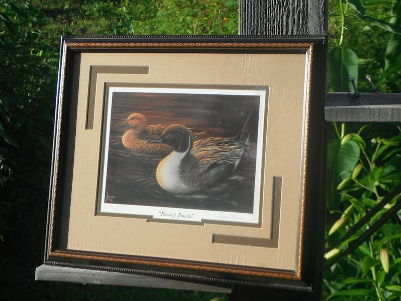 Vintage Signed Cyndi Nelson Numbered 57 of 480 "peaceful Pintails ...