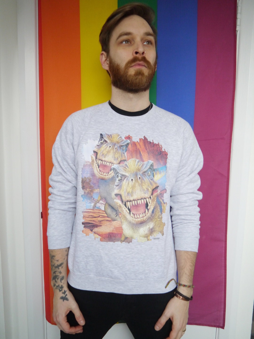 T-rex Jumper, T-rex Sweatshirt, T-rex Sweater, Dinosaur Jumper ...