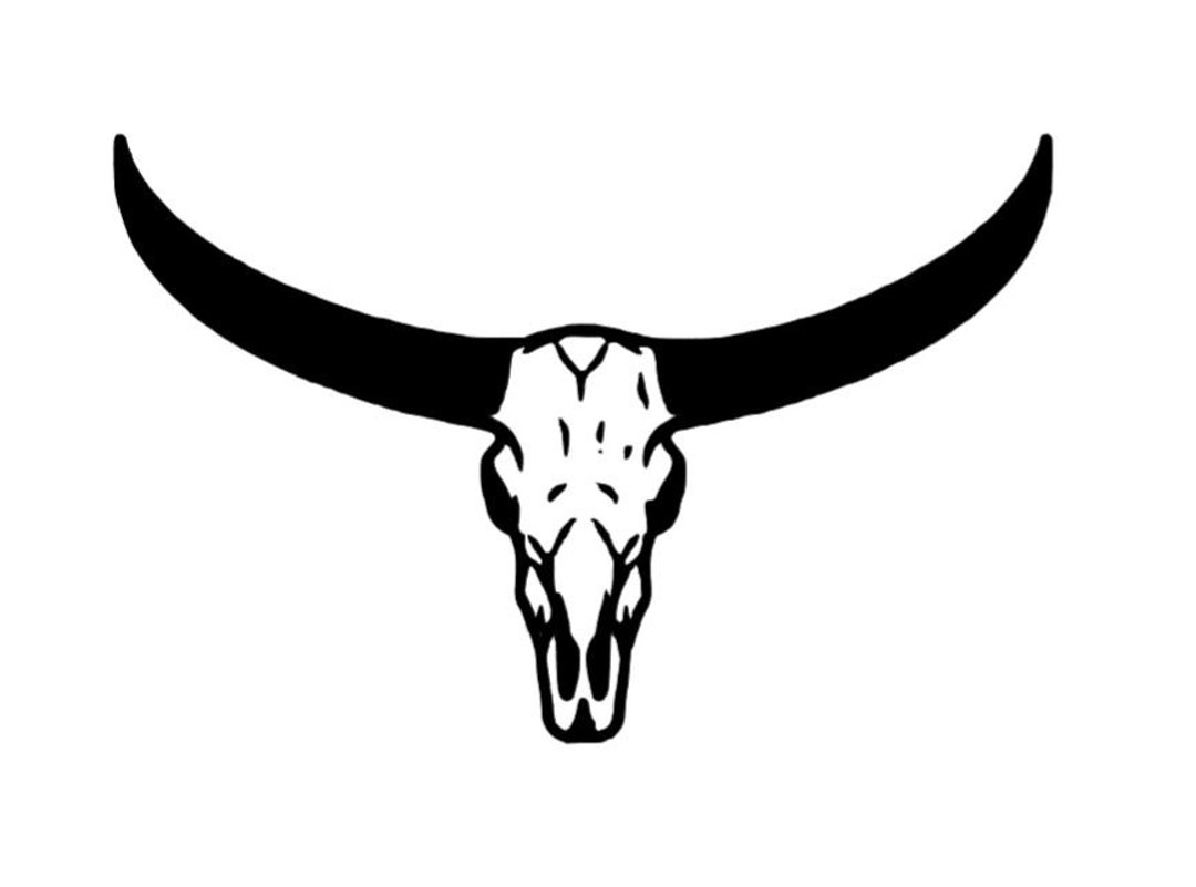 VINYL Car Decal Steer Skull Decal LONGHORN Skull Decal Vinyl Car Window ...