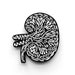 Anatomical Kidney Enamel Pin - Etsy