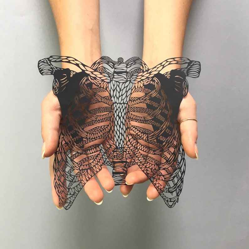 Framed Anatomy Human Ribcage Thorax Papercutting Artwork, Doctor ...