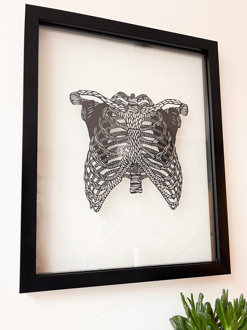 Framed Anatomy Human Ribcage Thorax Papercutting Artwork, Doctor ...