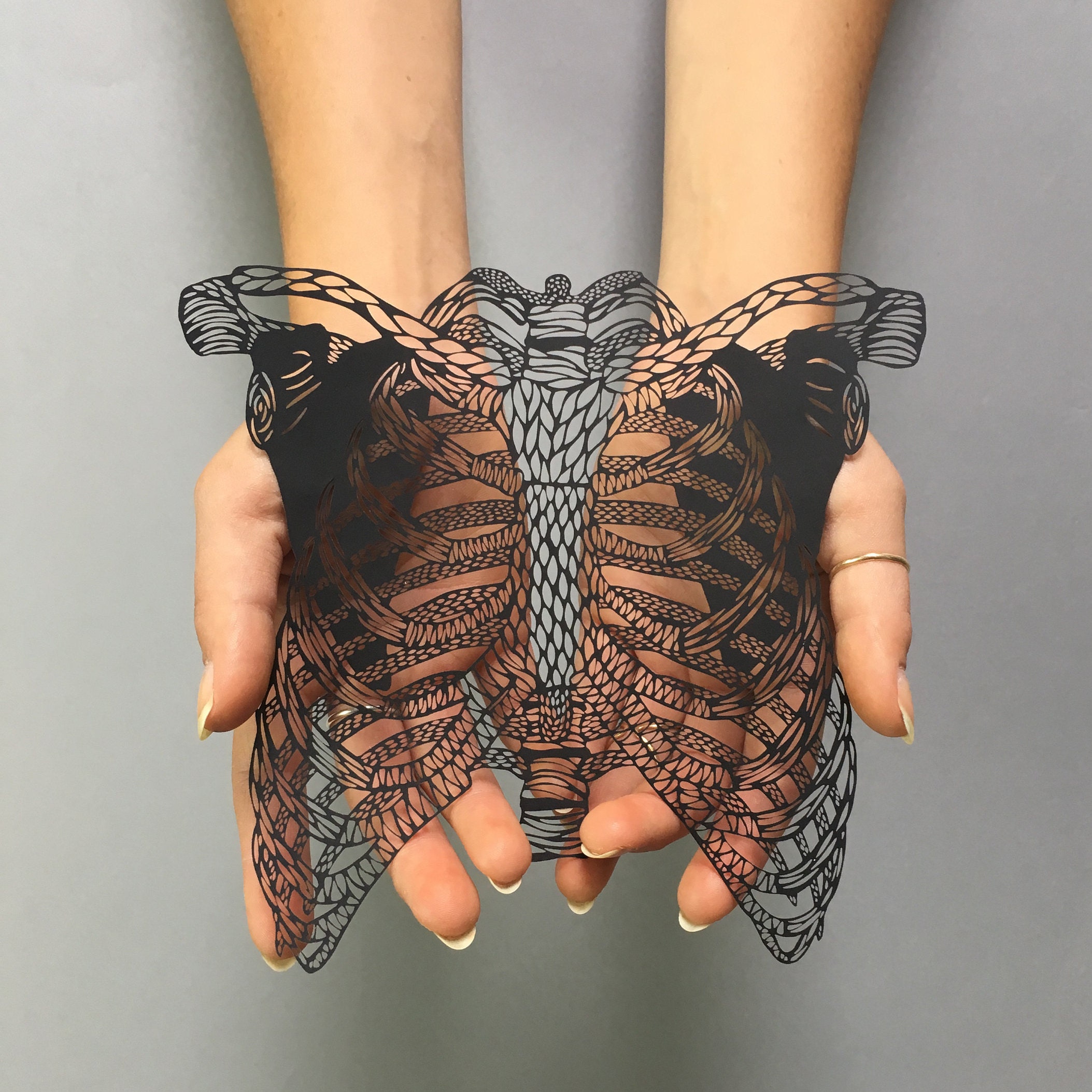 Anatomical Rib Cage Laser-cut Papercutting Artwork - Etsy