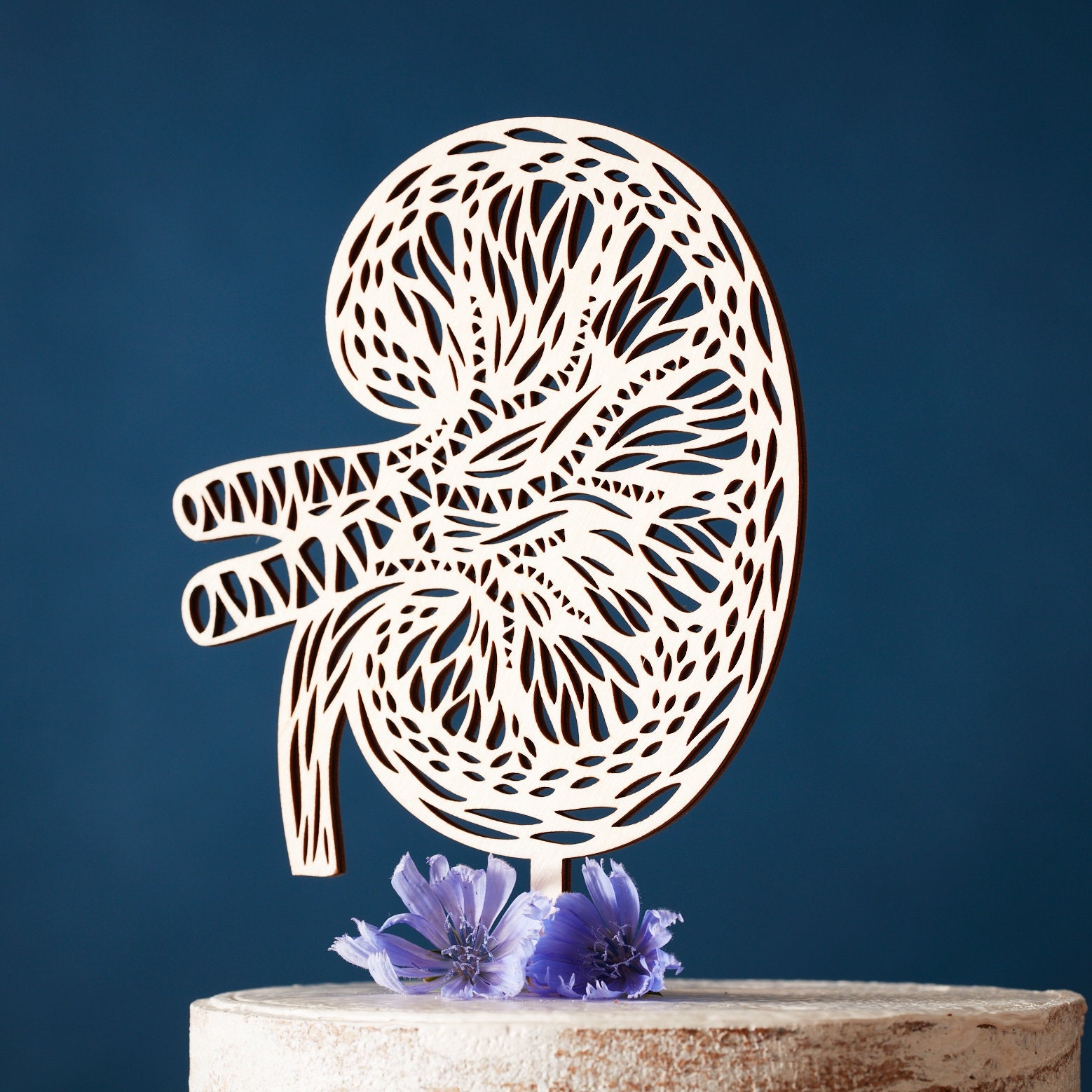 Kidney Anatomy Cake Topper - Transplant Cake Topper, Medical Grade Gift ...