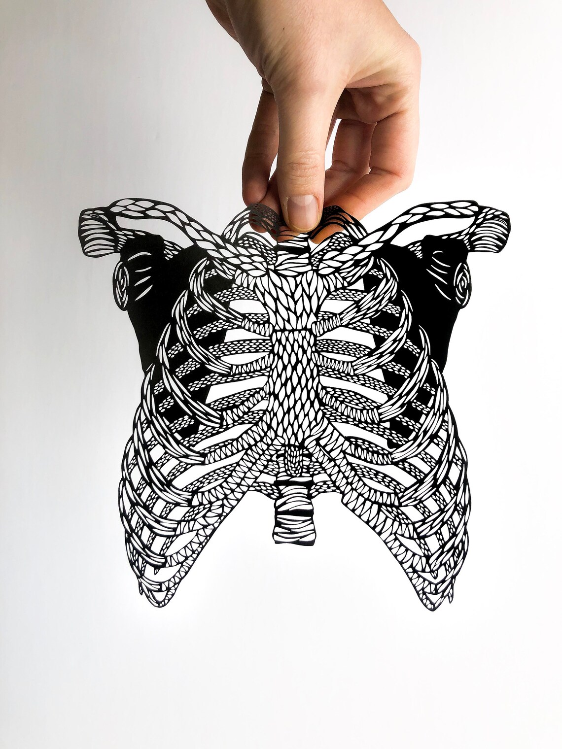 Anatomical Rib Cage Laser-cut Papercutting Artwork - Etsy
