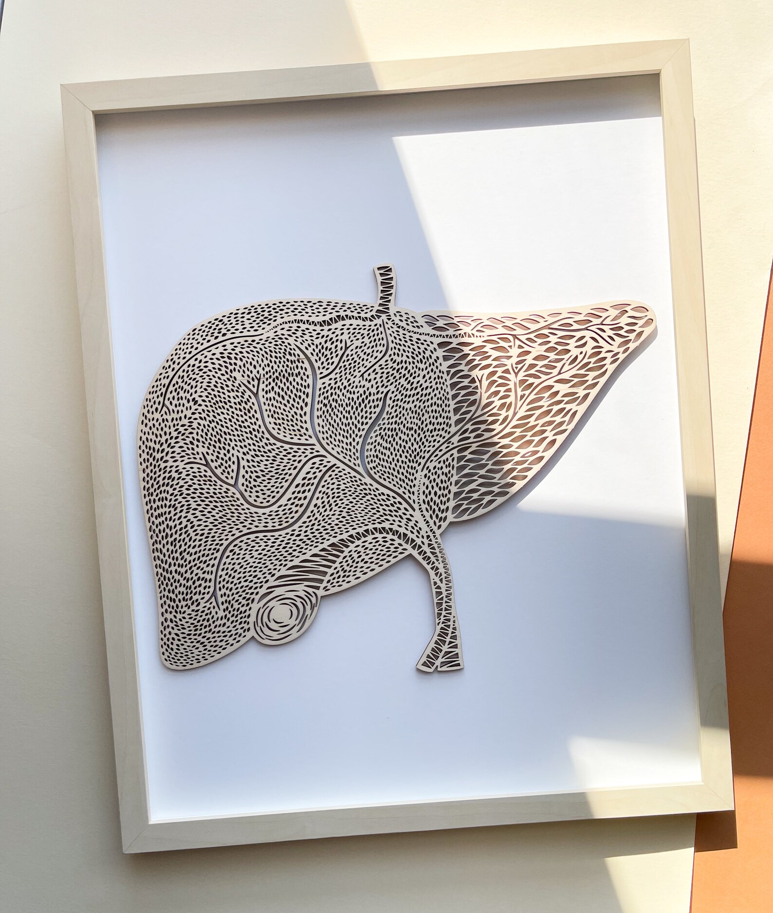Anatomical Liver Lasercut Wooden Artwork - Etsy Canada