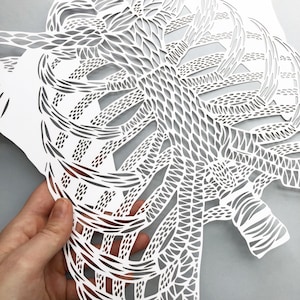 Anatomical Rib Cage Laser-cut Papercutting Artwork - Etsy