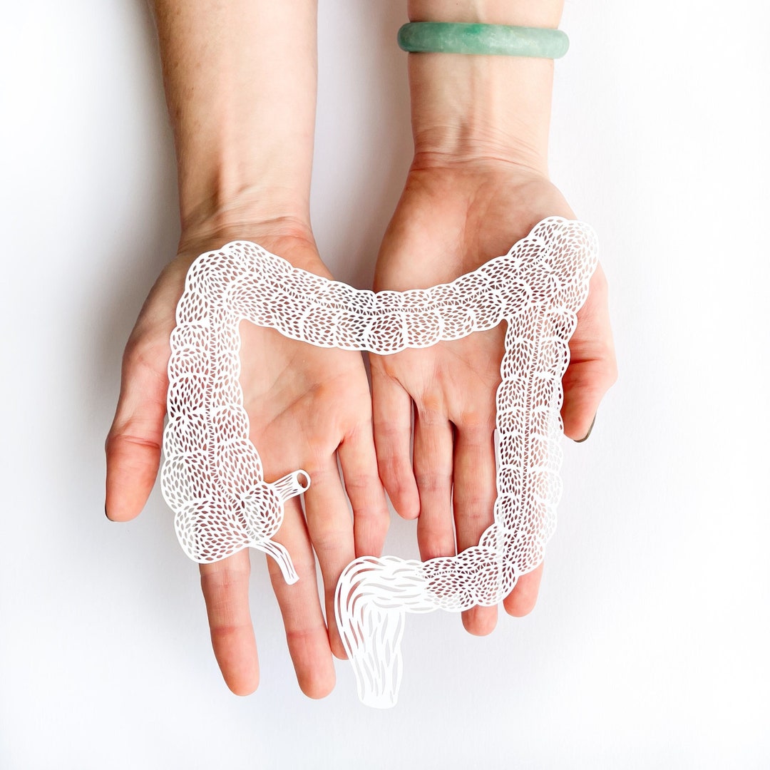 Anatomical Large Intestine Colon Papercutting Artwork - Doctor Medical ...