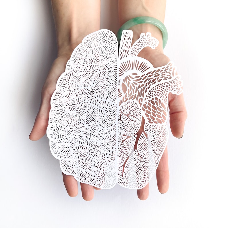 Anatomical Heart/brain Papercutting Artwork Doctor Medical Gift ...