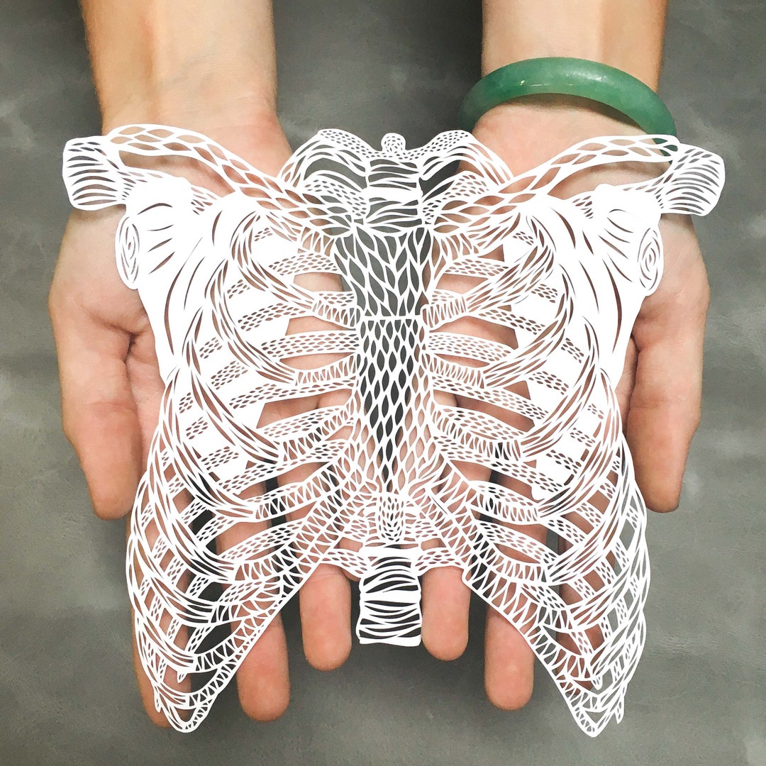 Anatomical Rib Cage Laser-cut Papercutting Artwork - Etsy