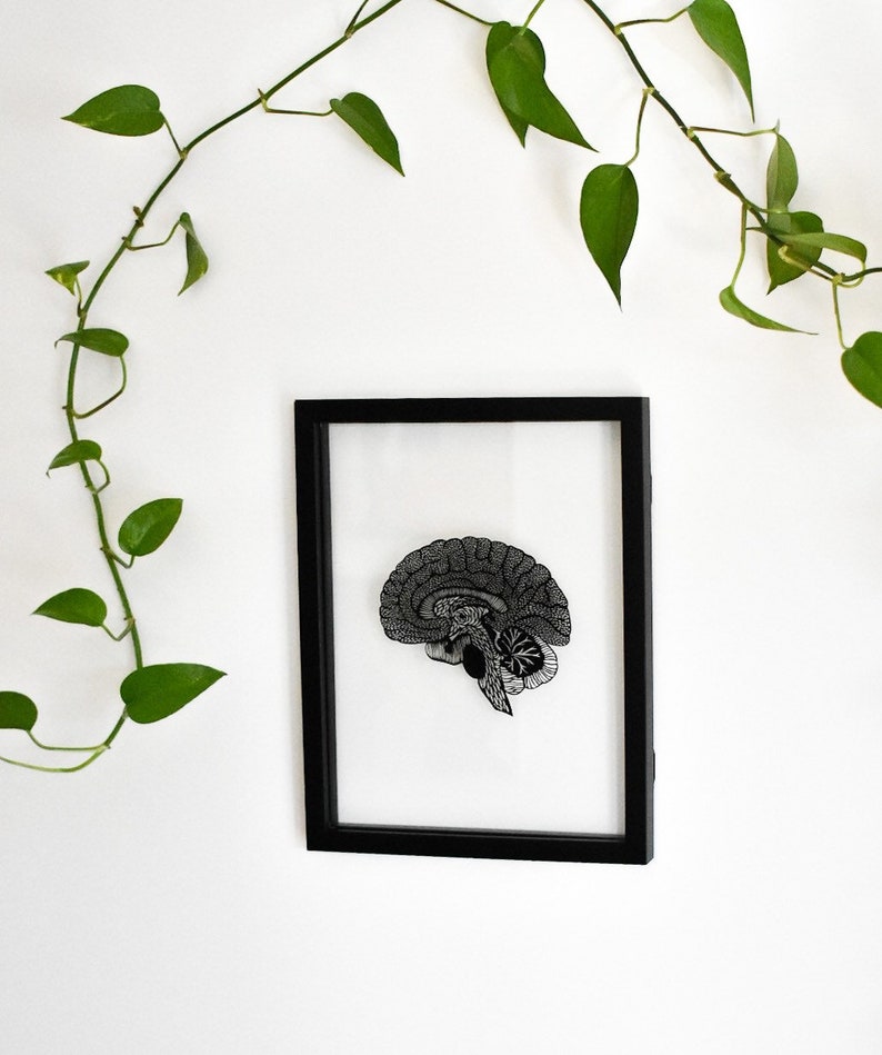 Anatomical Brain Laser-Cut Papercutting Artwork | Etsy