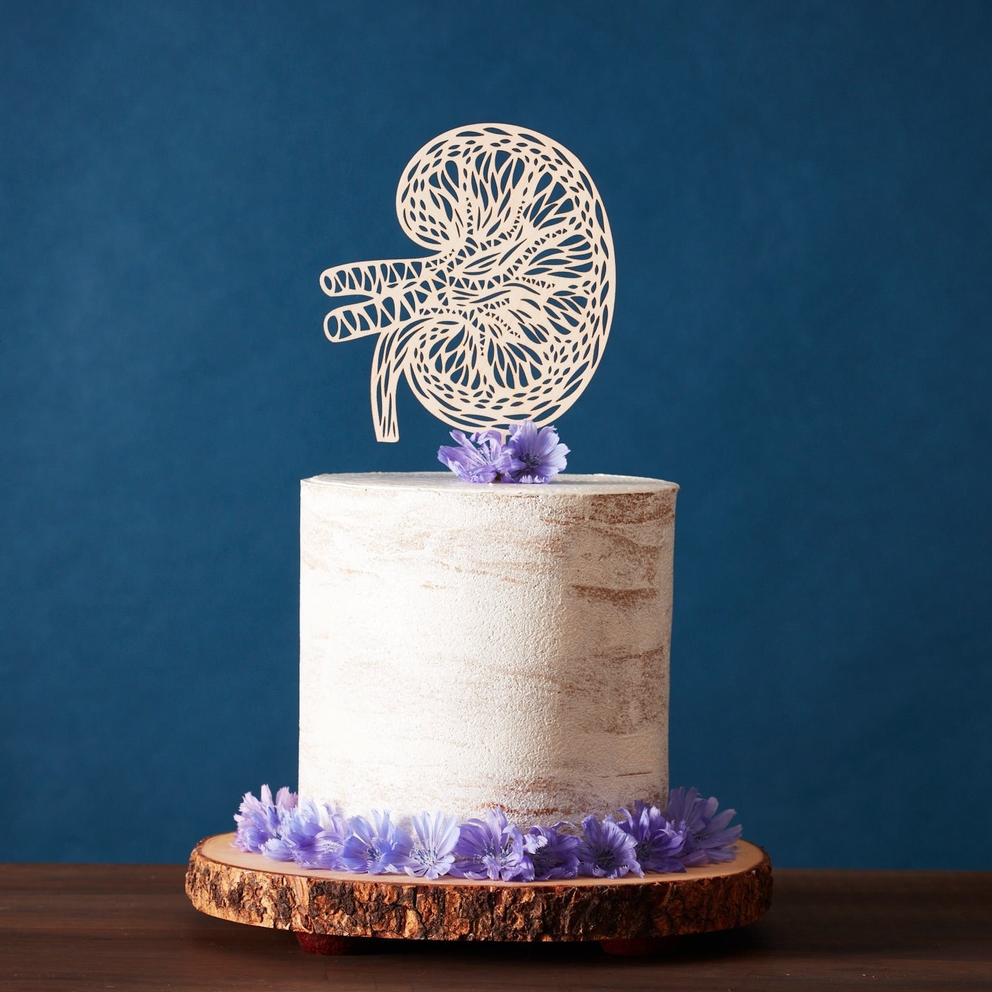 Kidney Anatomy Cake Topper - Transplant Cake Topper, Medical Grade Gift ...
