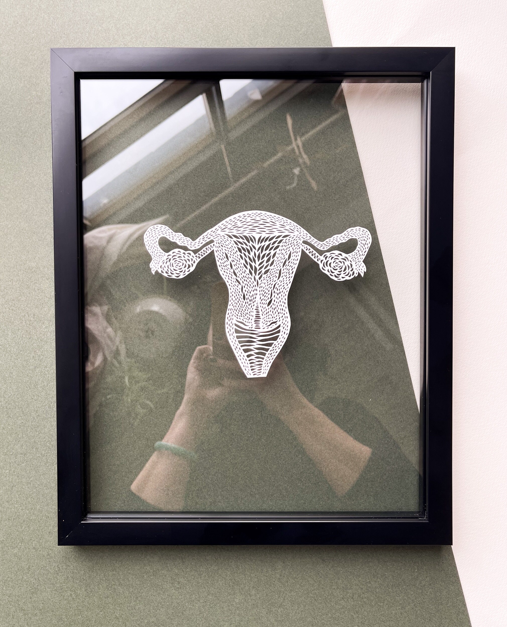 Framed Anatomy Human Uterus Ovaries Papercutting Artwork, Doctor ...