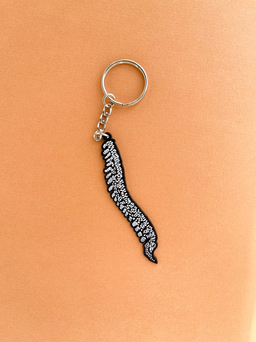 Spine Anatomy Enamel Keychain - Etsy