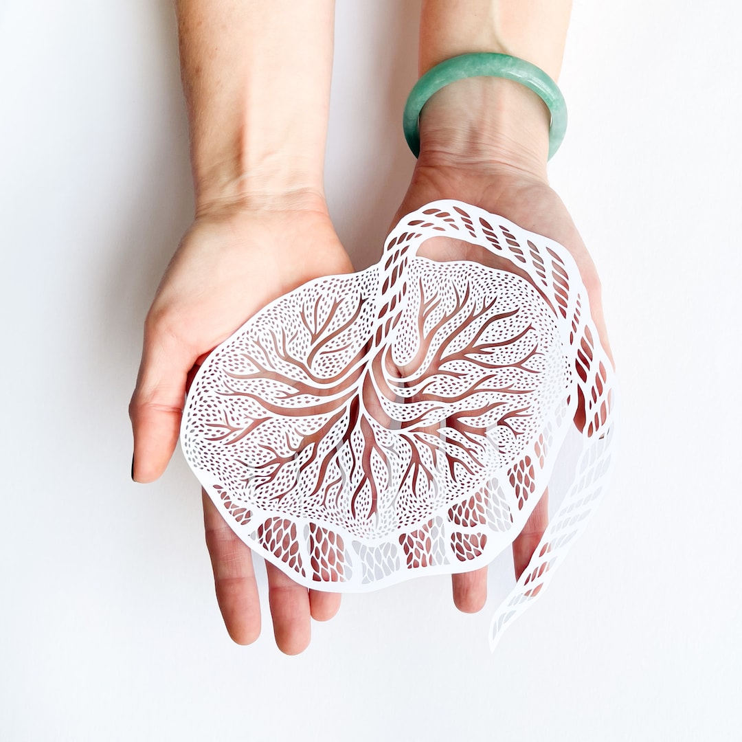 Anatomical Placenta Papercutting Artwork, Midwifery Art, Doula Gift ...