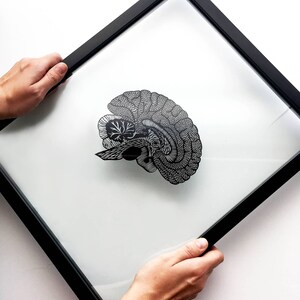 Anatomical Brain Laser-cut Papercutting Artwork, Neurology Gift, Doctor ...