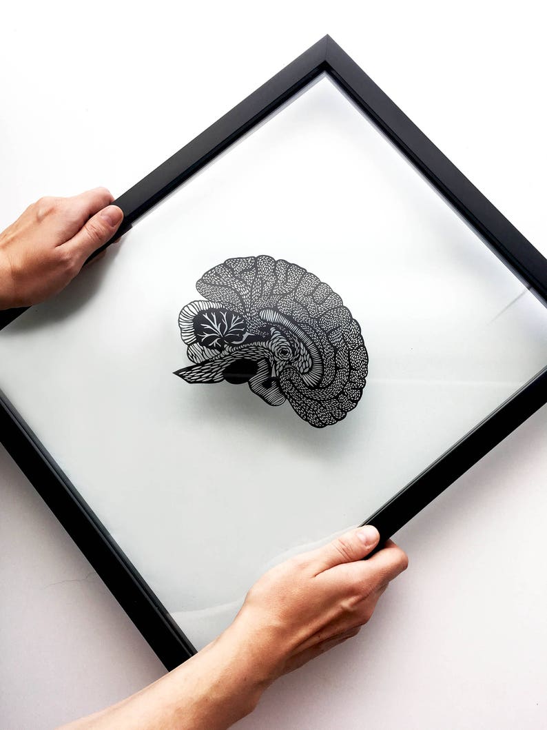 Anatomical Brain Laser-cut Papercutting Artwork, Neurology Gift, Doctor ...