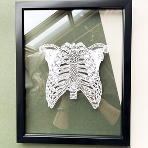 Framed Anatomy Human Ribcage Thorax Papercutting Artwork, Doctor ...